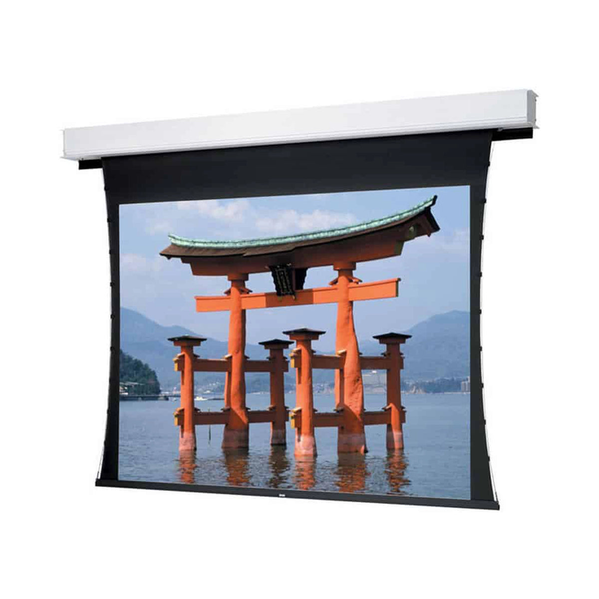 Professional Projector Screens – AVLGEAR