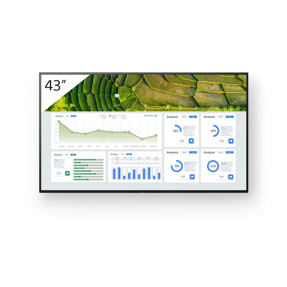 Sony BRAVIA 4K HDR LCD Pro Display with Pro-Mode, Airplay, and Chromec ...
