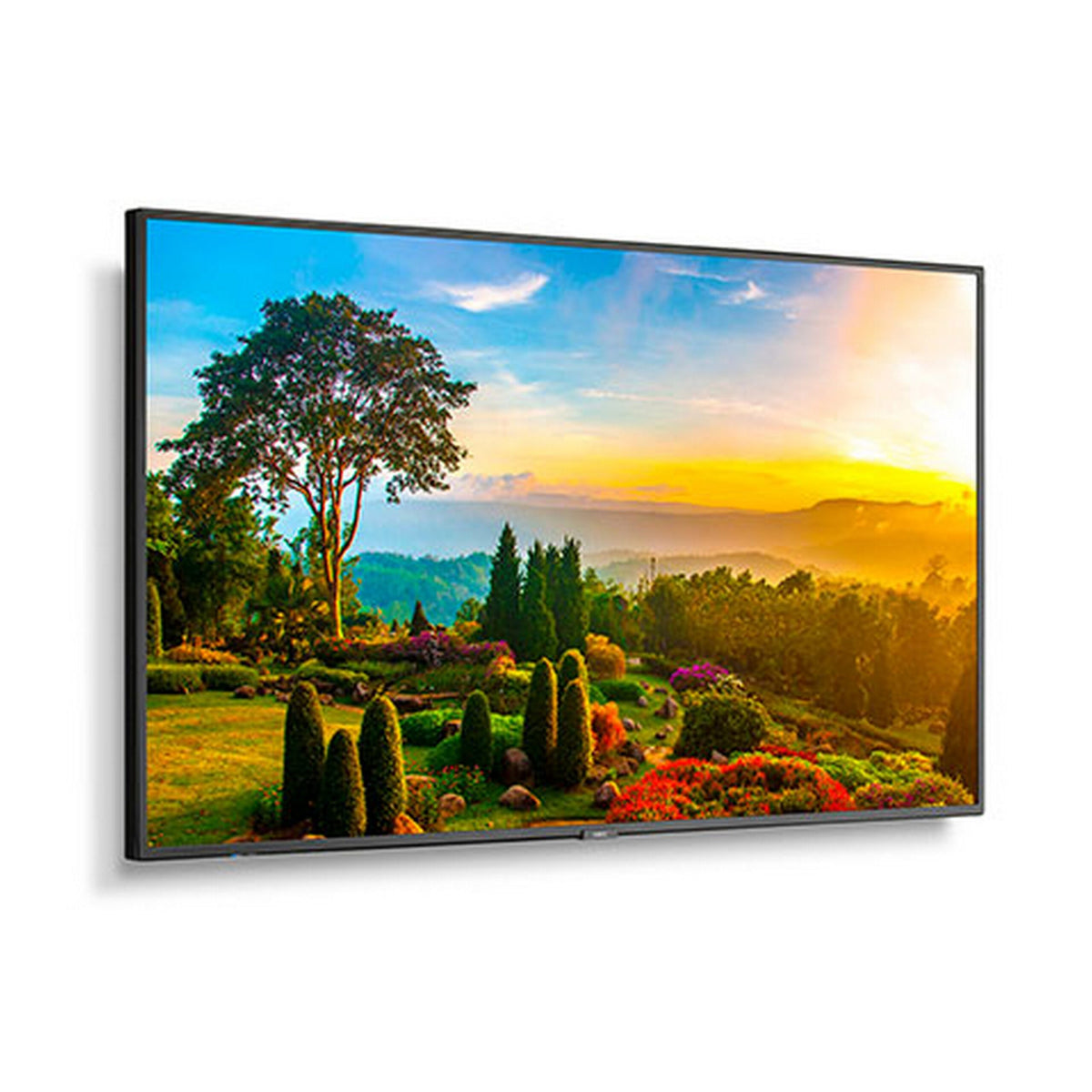 Sharp M551 55 Inch Ultra High Definition Professional Display – AVLGEAR