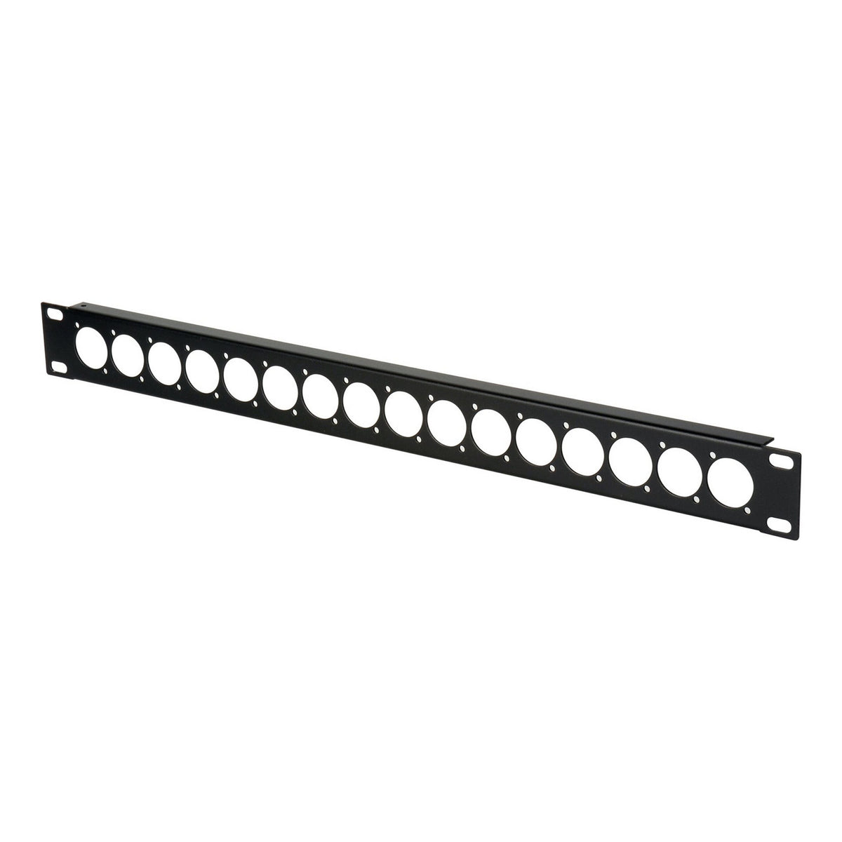My Custom Shop 16X-1 16-Port Unloaded D-Series XLR Rack Panel, 1RU ...